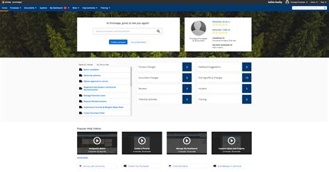 Nintex Promapp New Theme Fonts Icons And Colour Updates Community