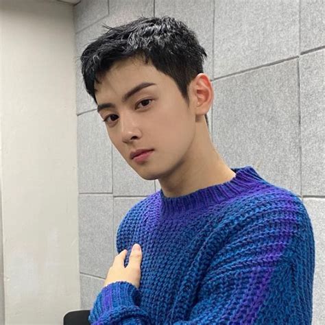 남자 연예인 헤어스타일 Top1 실패없는 차은우 머리 아이비리그컷 아이비리그펌 네이버 블로그