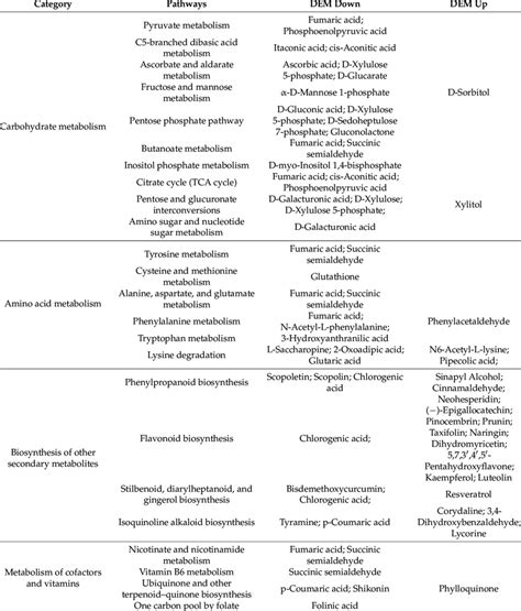 Metabolomic And Transcriptomic Co Enrichment Results In Pathway Entries
