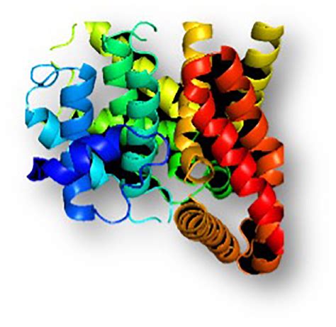 Three Dimentional Structure Of Pde10a Download Scientific Diagram