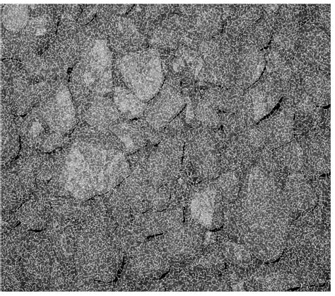 Figure 3 From Rock Image Segmentation Using Watershed With Shape