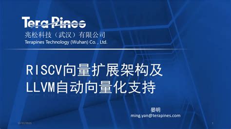 RISC-V Vector 自动向量化及在 llvm 中的实现 | Terapines