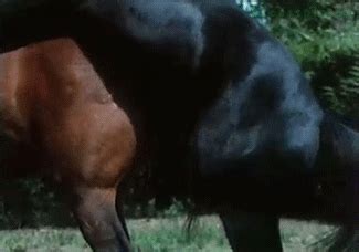 Androphiliadetox Androphiliadetox