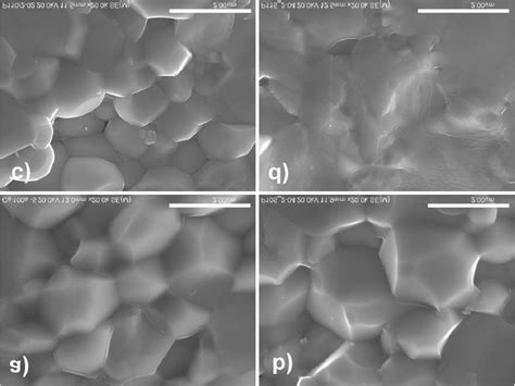 Sem Photographs Of The Microstructure Fracture Of The Pfn Ceramics Download Scientific Diagram