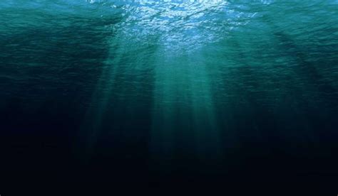 The Pilbara Olive Python The Secret Giant Of Australias Red Heart