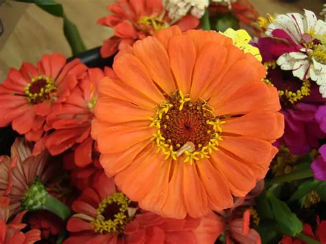 understanding kerberos and managing authentication and encryption on linux systems cloud