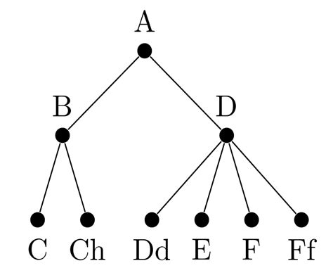 TikZ Forest How To Format Stylize A Node Based On Its Level TeX LaTeX Stack Exchange