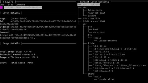 Unusable Resultant CentOS Image Issue Slimtoolkit Slim GitHub