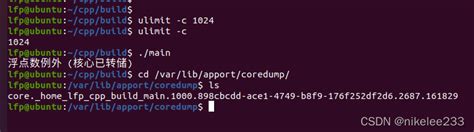 linux进程崩溃排查方法 linux catch die event csdn博客