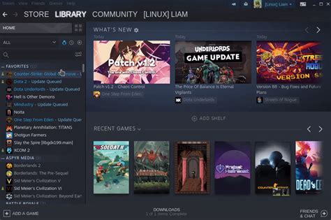 valve e codeweavers oferecem versões de teste do proton antes do