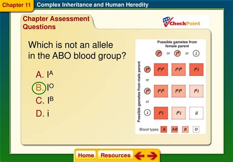 Ppt Section 1 Basic Patterns Of Human Inheritance Powerpoint