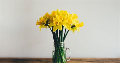 ¿qué Significa Soñar Con Flores Amarillas Infobae