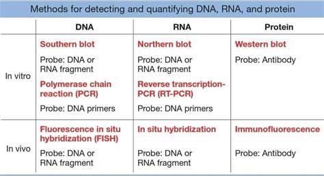 hanaa fayed on linkedin a summary of the main methods used to detect