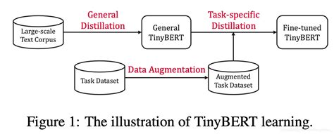 tinybert解读 bert tiny参数量 csdn博客