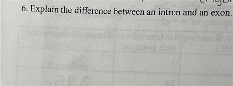 Solved Explain The Difference Between An Intron And An Exon