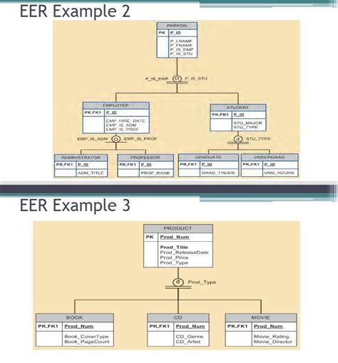 Solved Q1 The Create The Eer For The Following Diagram Q2