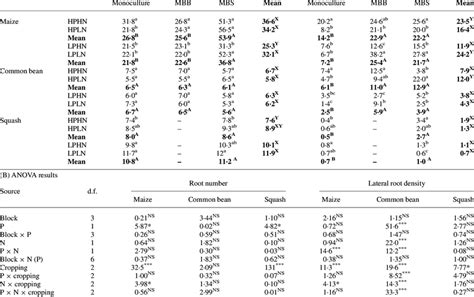 Analysis Of Root Architectural Traits Of Three Crops Across All