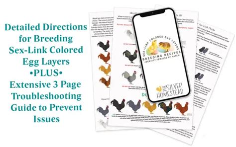 Sex Link Colored Egg Layer Breeding Guide PDF Silver Homestead