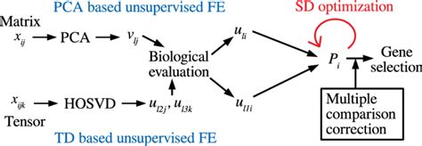 Adapted Tensor Decomposition And Pca Based Unsupervised Feature Extraction Select More