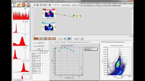 Graphpad Prism 4 Parameter Fit Myweblasopa