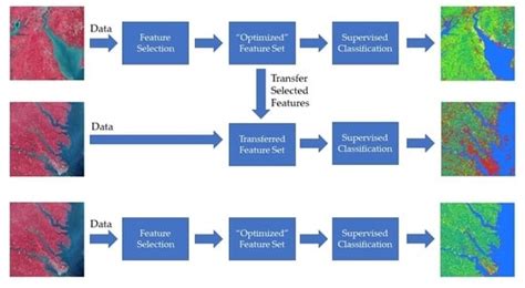 Transferability Of Recursive Feature Elimination Rfe Derived Feature