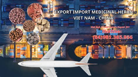 Dịch vụ thông quan Xuất Nhập Khẩu Dược Liệu Sang Trung Quốc CTCP XNK MAI ANH GROUP MAI ANH GROUP