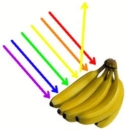 Opaque Appearance Julia GKyle L