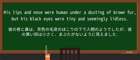 【英単語】lidlessを徹底解説！意味、使い方、例文、読み方 おもしろい英文法