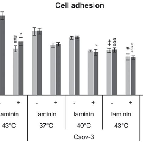 Adhesion Of Ovarian Cancer Cell Lines Caov 3 And Nihovcar 3 And