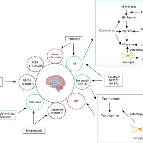 Chemical Structure Of Semaglutide Download Scientific Diagram