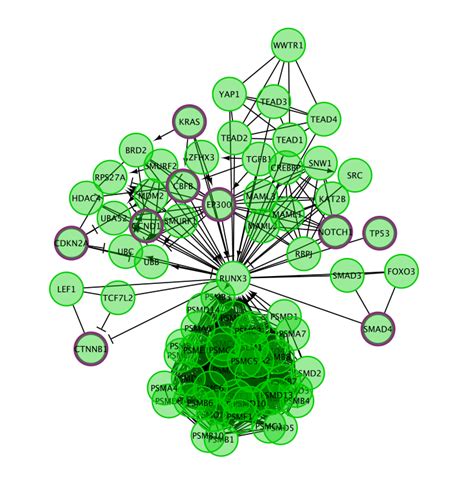 Module 4 Lab Reactomefi Pathway And Network Analysis Of Omics Data