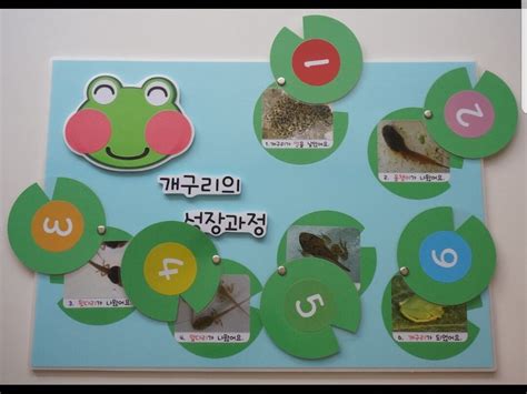 ㆍ 개구리의성장과정 개구리성장과정 과학영역교구 과학영역꾸미기 과학놀이 과학영역 토토로버스 교구제작 평가인증 엄마표교구 봄교구 어린이집 만들기 유치원