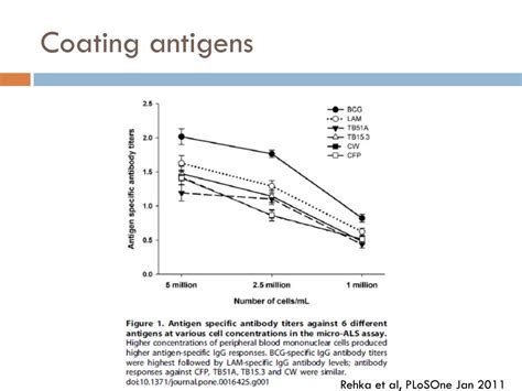 Ppt Antibodies In Lymphocyte Supernatant For The Diagnosis