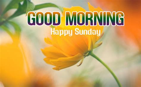 Desktop Sunday Morning Wallpaper Good Morning Happy Sunday