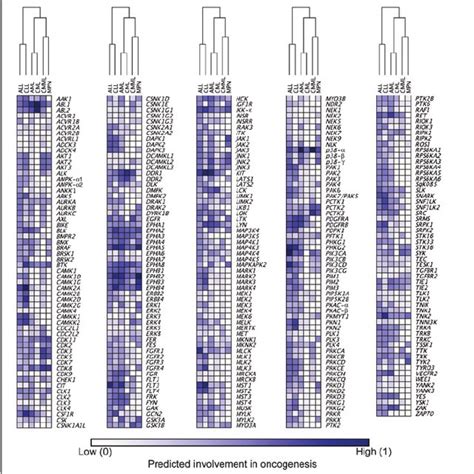 Development Of An Algorithm For Kinase Target Prediction Based On Download Scientific Diagram