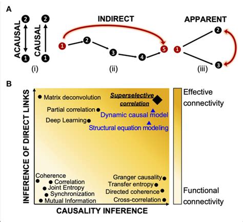 Definition Of Functional And Effective Connectivity A