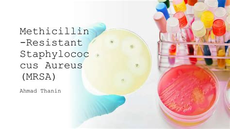 Methicillin Resistant Staphylococcus Aureus Mrsa Pptx