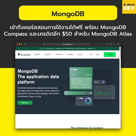 Borntodev 🍃 Mongodb ใครมองหา Database สักตัวไปใช้ในโปรเจกต์อยู่ต้อง