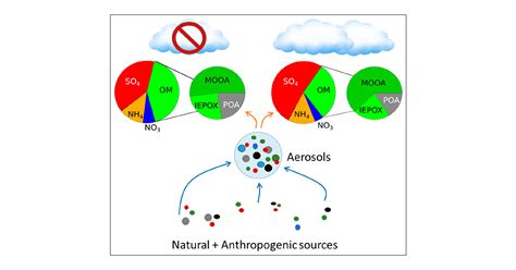 Evaluation Of The Sources Precursors And Processing Of Aerosols At A