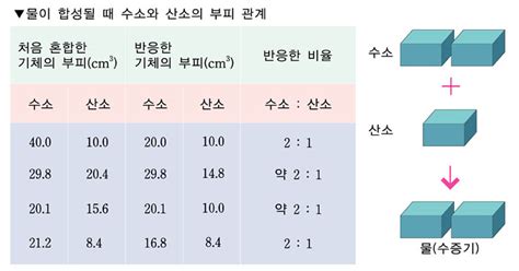금성출판사 티칭백과