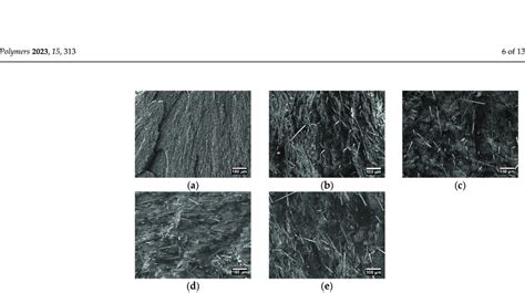 Sem Image Of Microstructures Of The Initial Ptfe And Pcm A Initial Download Scientific