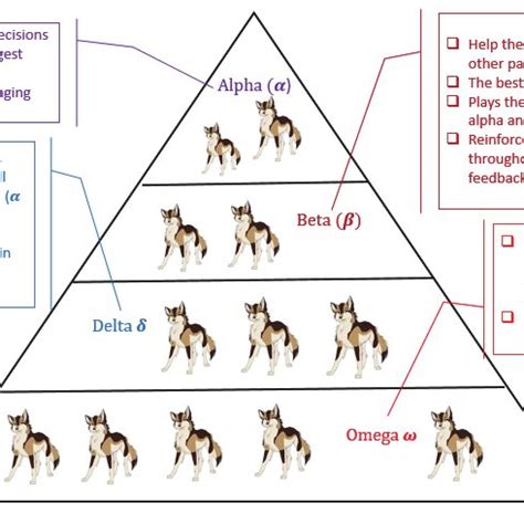 Flowchart Of RP GWO Algorithm Download Scientific Diagram