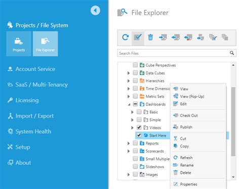 Manage Projects And The File System Administration Configuration