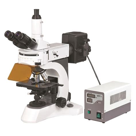 Reflected Fluorescence Microscopes Is It Portable Portable At Best