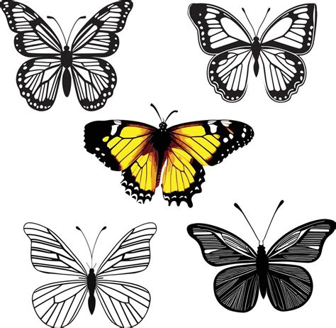 Butterfly Line Art Vector Drawing 22757819 Vector Art At Vecteezy