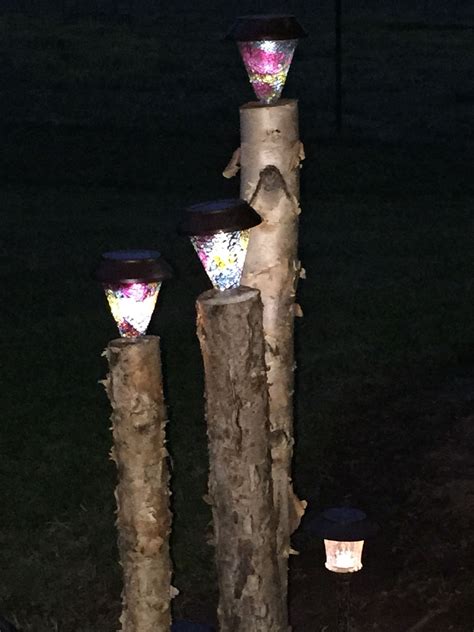Birch Tree Trunks And Solar Lights Just Drill Holes In Tree Trunk To The Size Of Your Solar