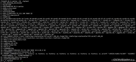 linux进程管理 进程优先级，环境变量与命令行参数 linux top 修改进程优先级 csdn博客