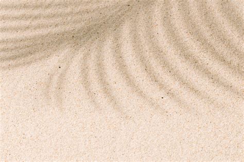 여름에 코코넛 야자수 잎의 그림자와 열대 해변 모래 여행 및 휴가 컨셉 배경 복사 공간을 복사합니다 0명에 대한 스톡 사진 및 기타 이미지 Istock