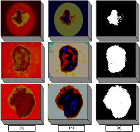Proposed Optimized Colour Segmentation Effects Download Scientific
