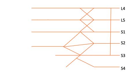 Diagram Of Sacral Plexus Schematic Quizlet